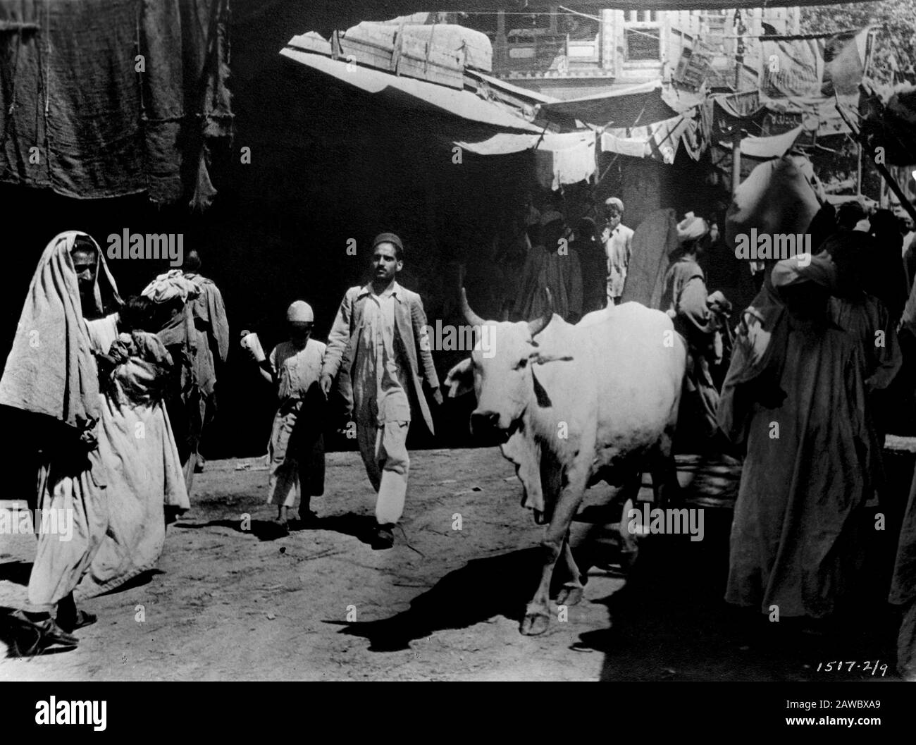 Photograph taken by ERNEST B. SCHOEDSACK in 1930 on expedition to film ...
