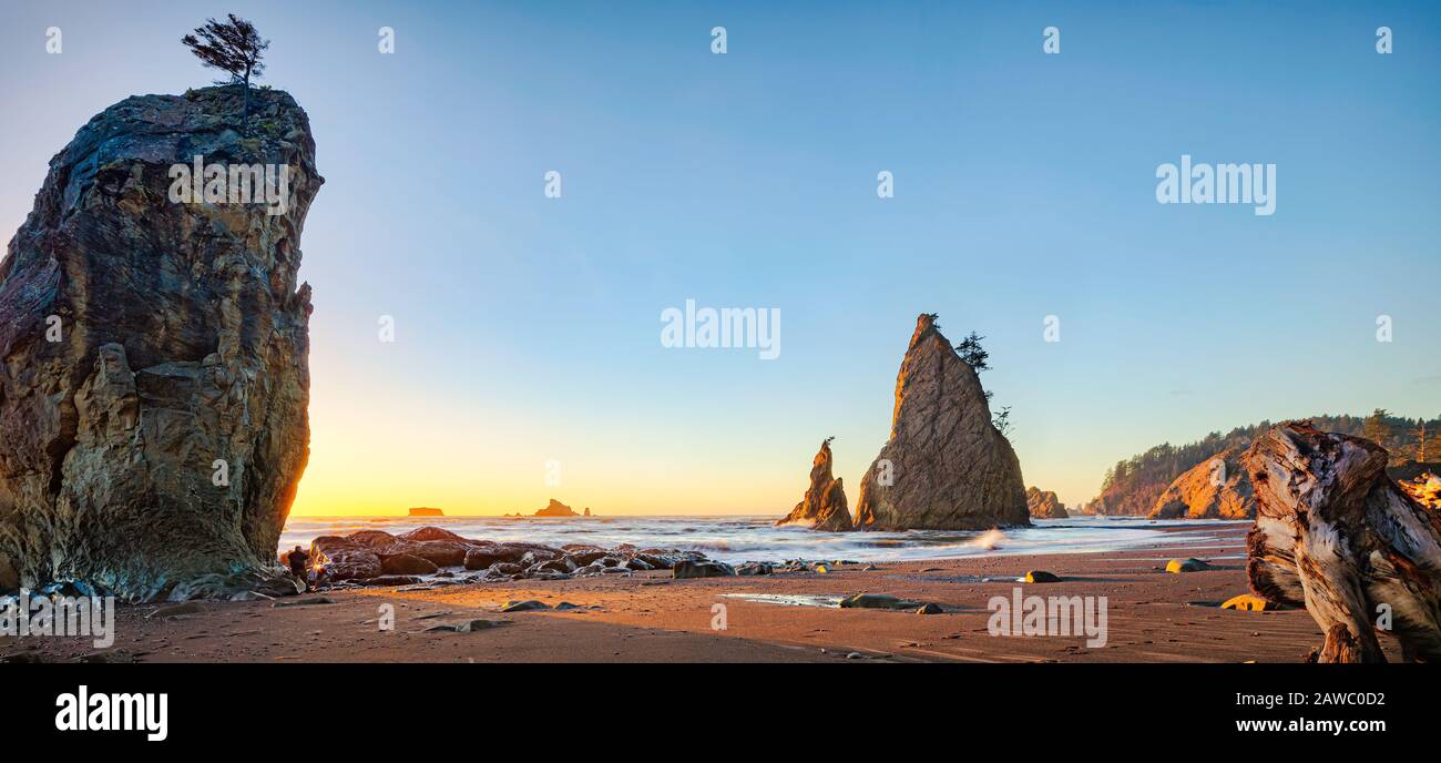 The rocky pacific shoreline of the Olympic National Seashore in ...