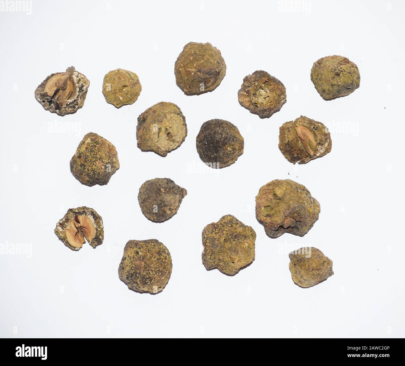 Dried full Amla fruit on White background. Full and half. Herbal ...