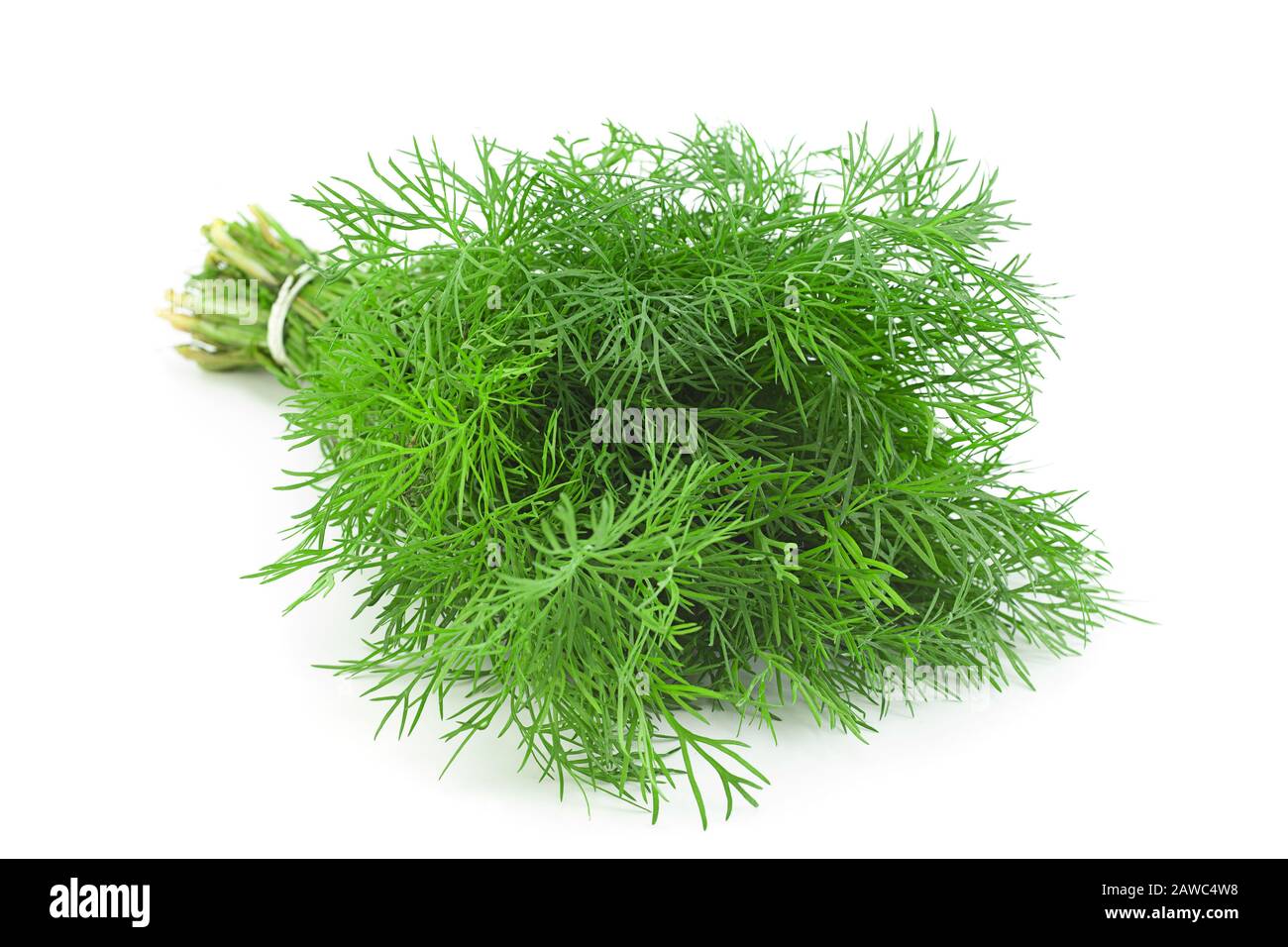 Dill herb bunch isolated on white background Stock Photo - Alamy