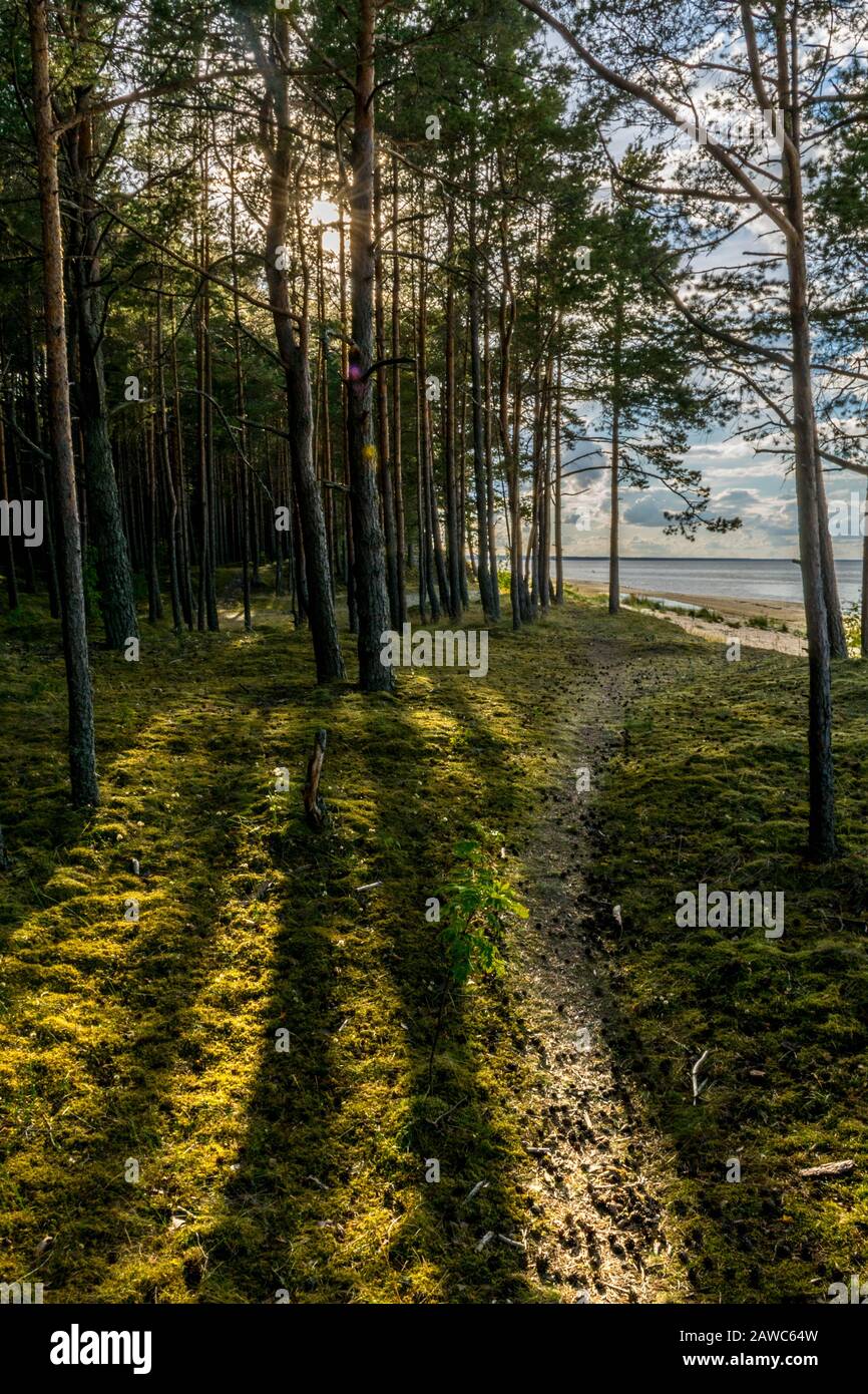 White wood path blue sky hi-res stock photography and images - Alamy