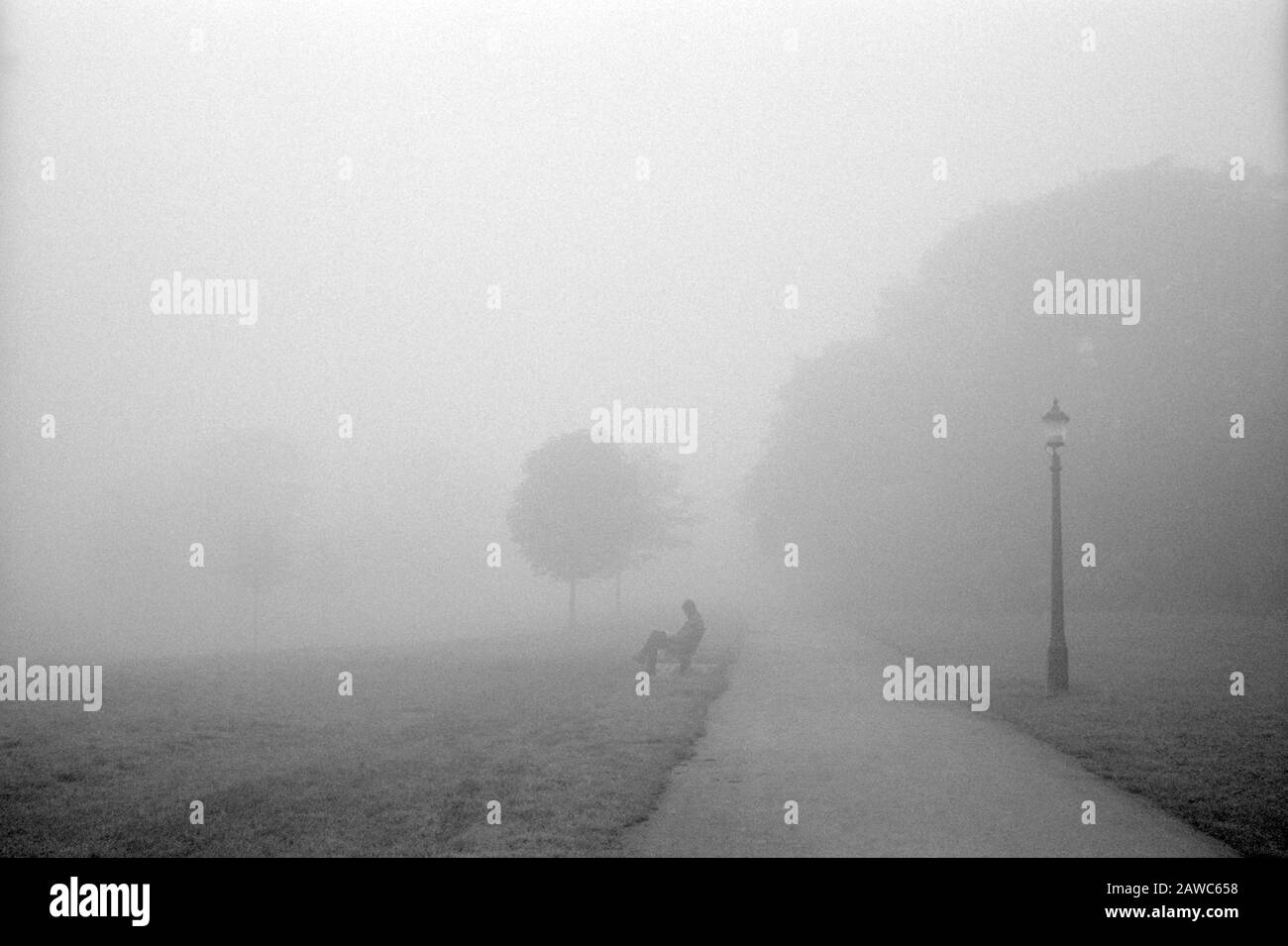 Primrose hill london bench hi-res stock photography and images - Alamy
