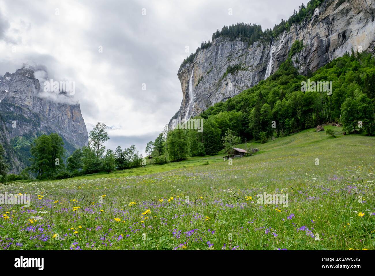 View on waterfalls valley in Alps mountains, Switzerland Stock Photo ...