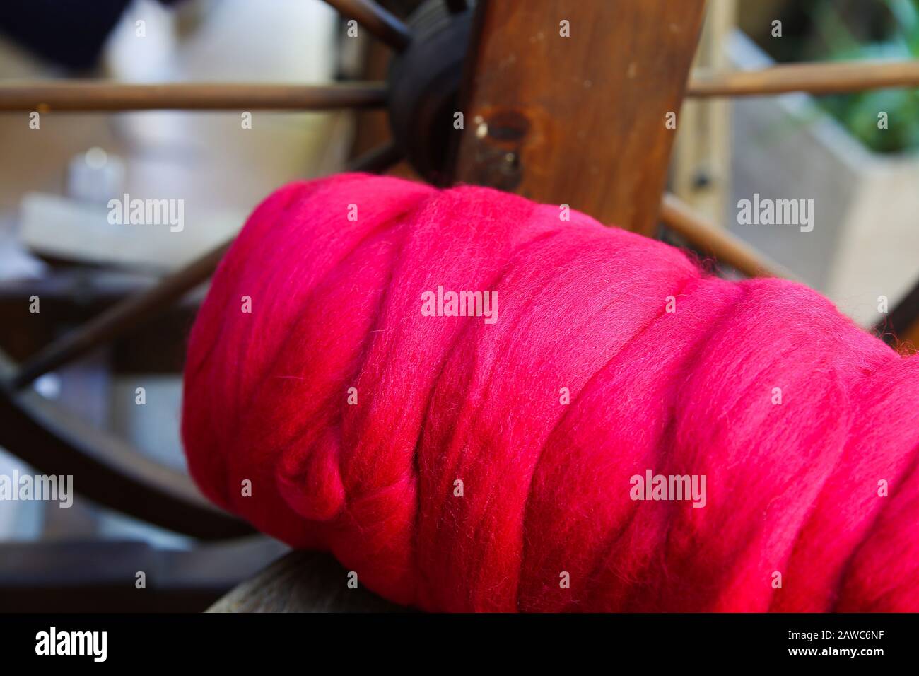 close up of pink red ball raw merino wool, blurred spinning wheel ...