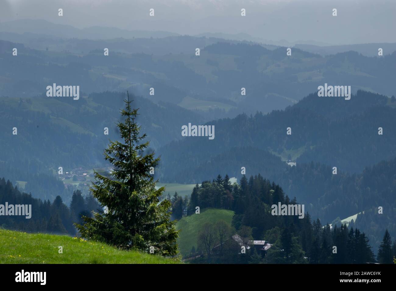 Single tree on the top of the mountain, Switzerland's Alps Stock Photo ...