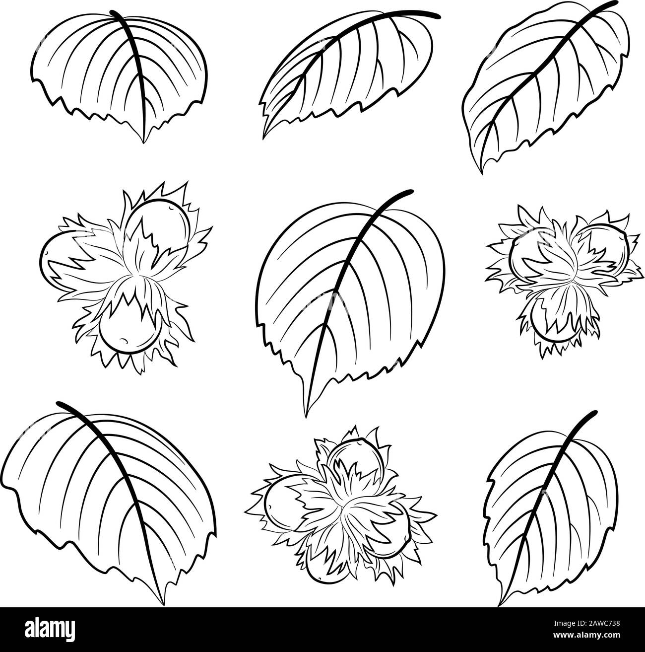 Hazel tree cutout Stock Vector Images - Alamy