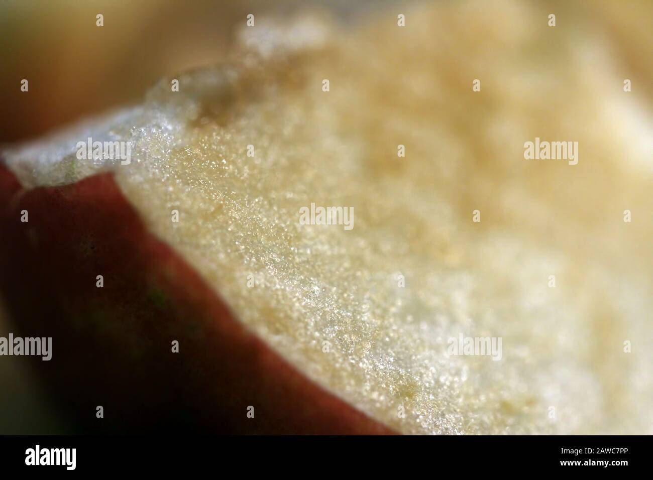 1 apple slices hi-res stock photography and images - Alamy