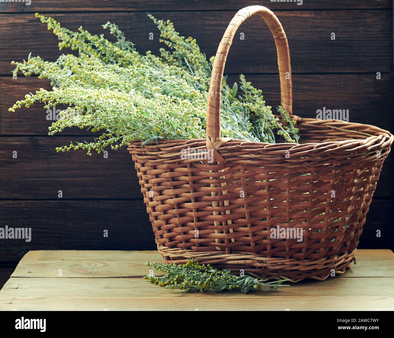 Sagebrush in bloom hi-res stock photography and images - Alamy
