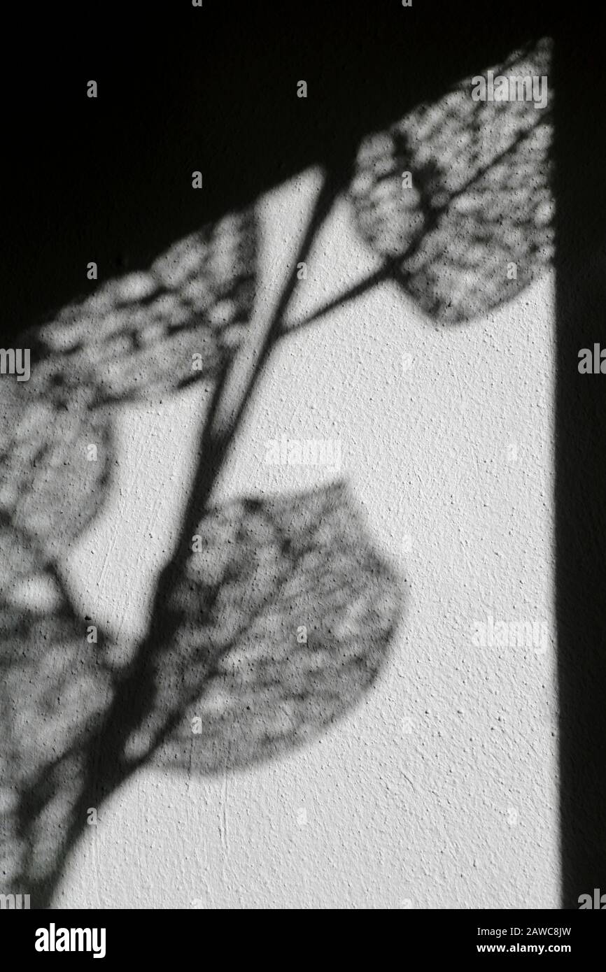 Moody book cover hi-res stock photography and images - Alamy