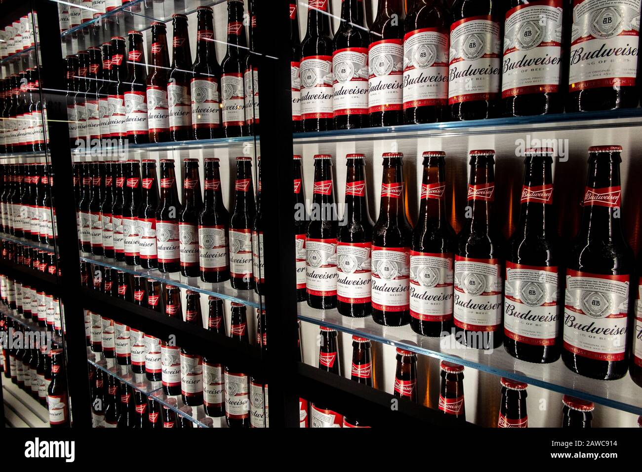 A vast display of Budweiser beers at a concert venue in London Stock ...
