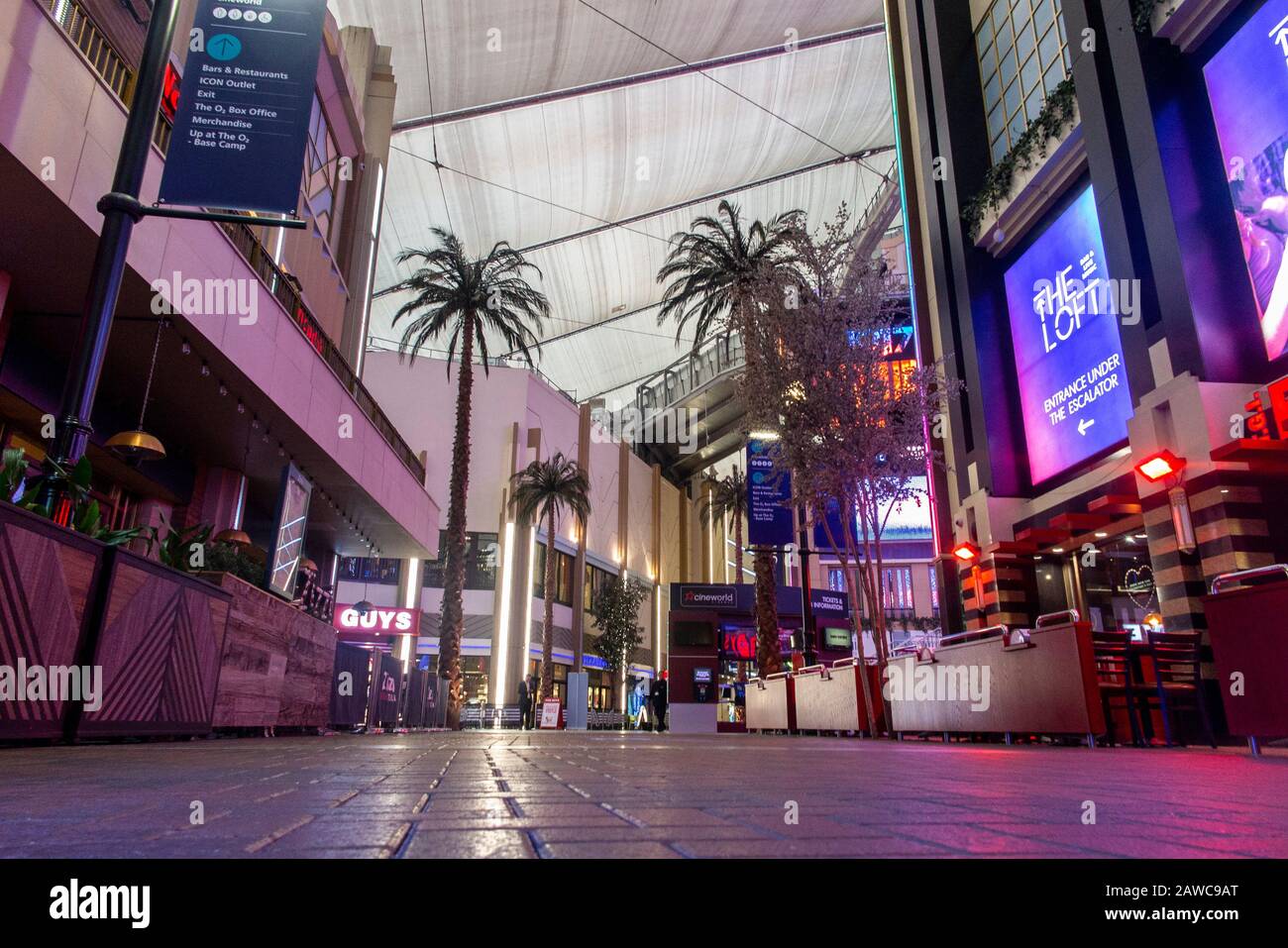 Palm trees in empty shopping mall in the interior of the O2 Millennium ...