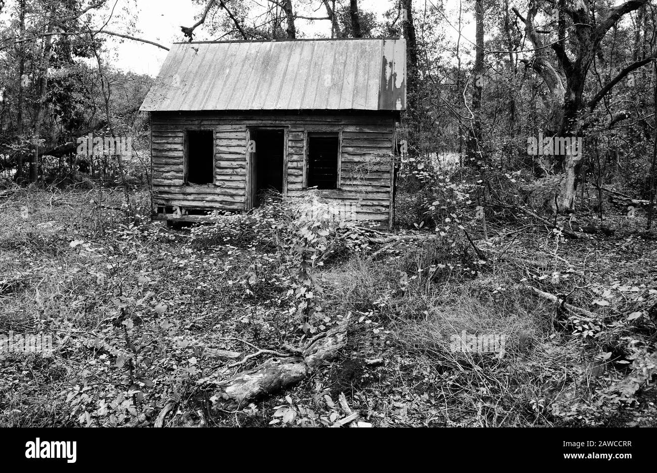 Old Houses In The Woods Creepy