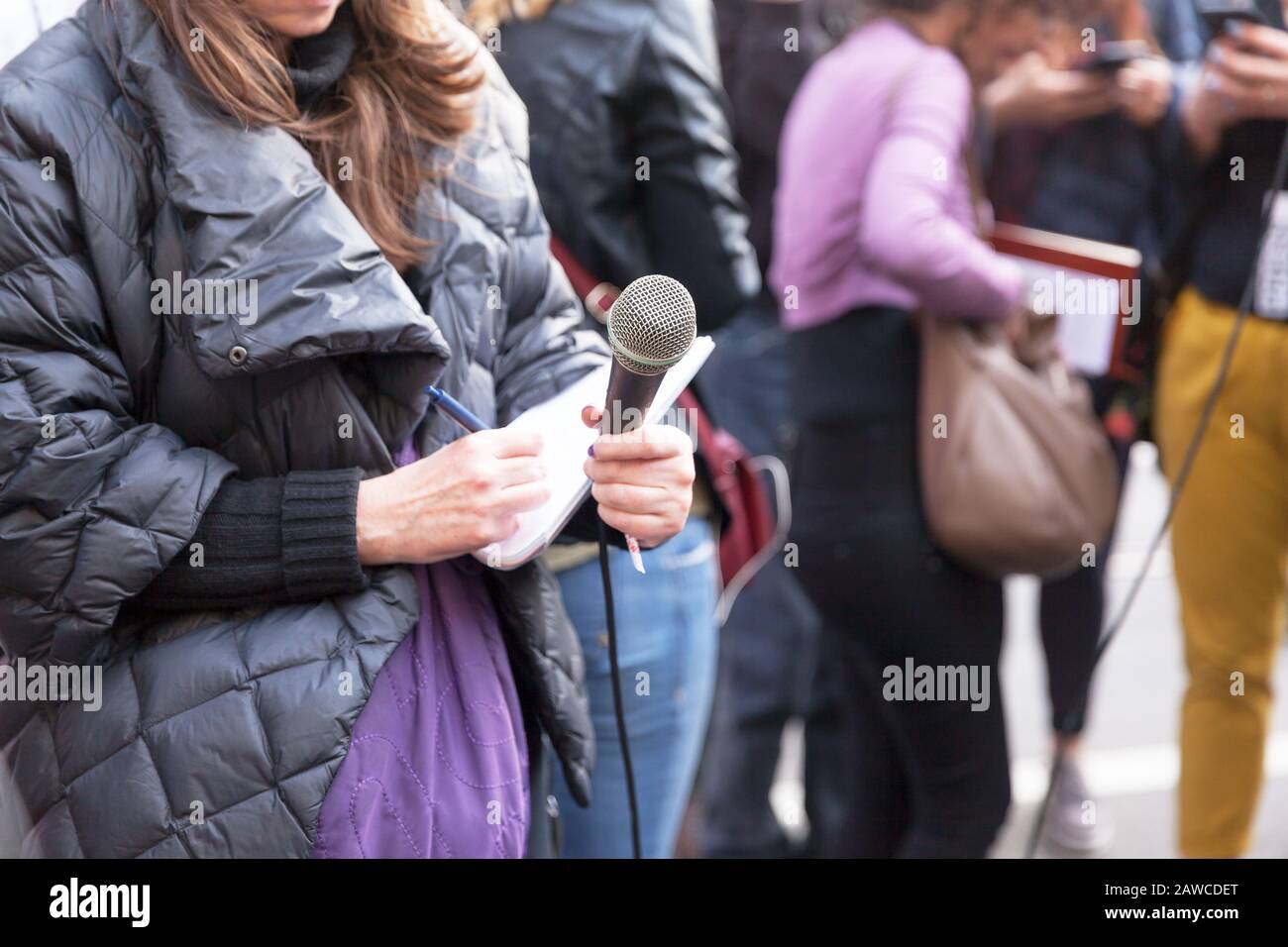 Female reporter at press conference, writing notes, holding microphone ...