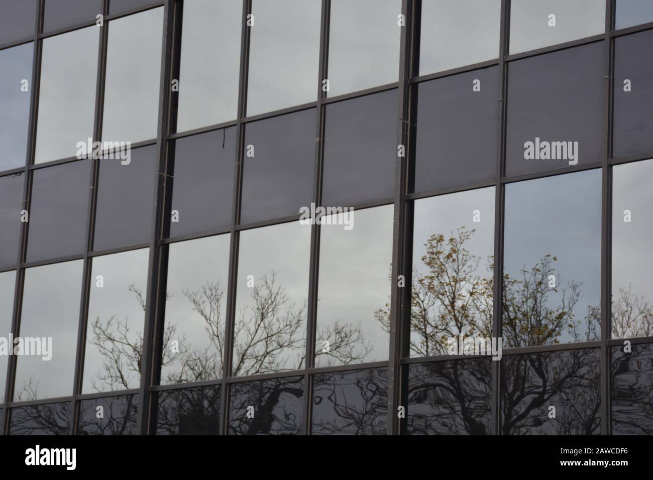 Office building with windows reflecting trees and sky Stock Photo - Alamy