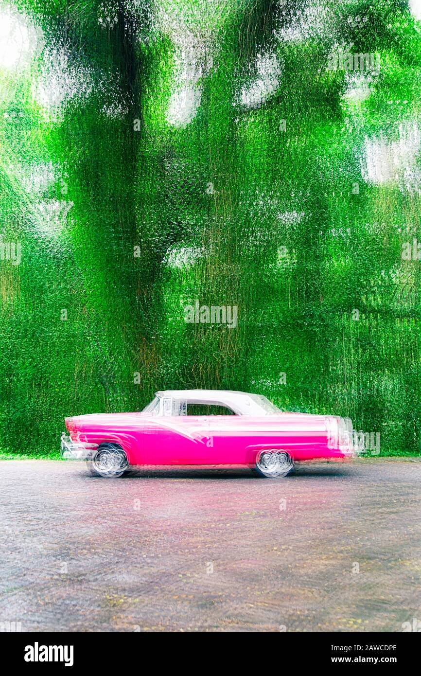 American almendron hi-res stock photography and images - Alamy