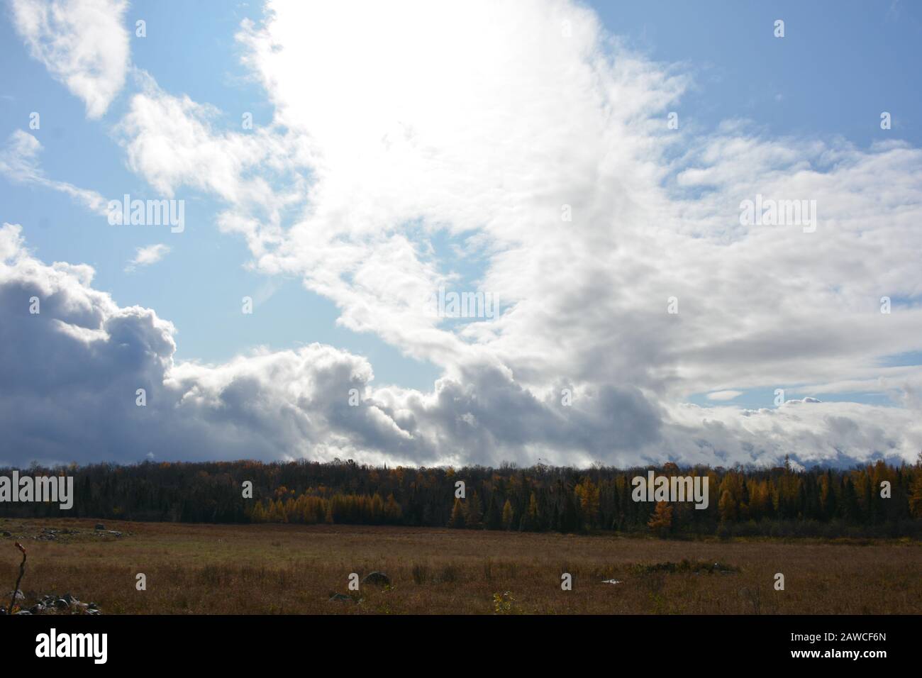 Brown and gold autumn farm fields in Northern Ontario Stock Photo - Alamy