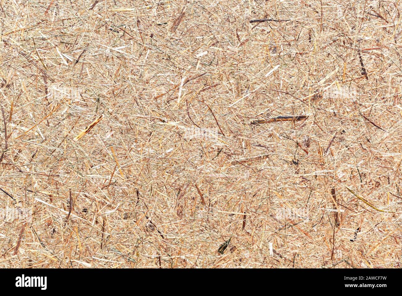 Close up of brown hay texture background Stock Photo - Alamy