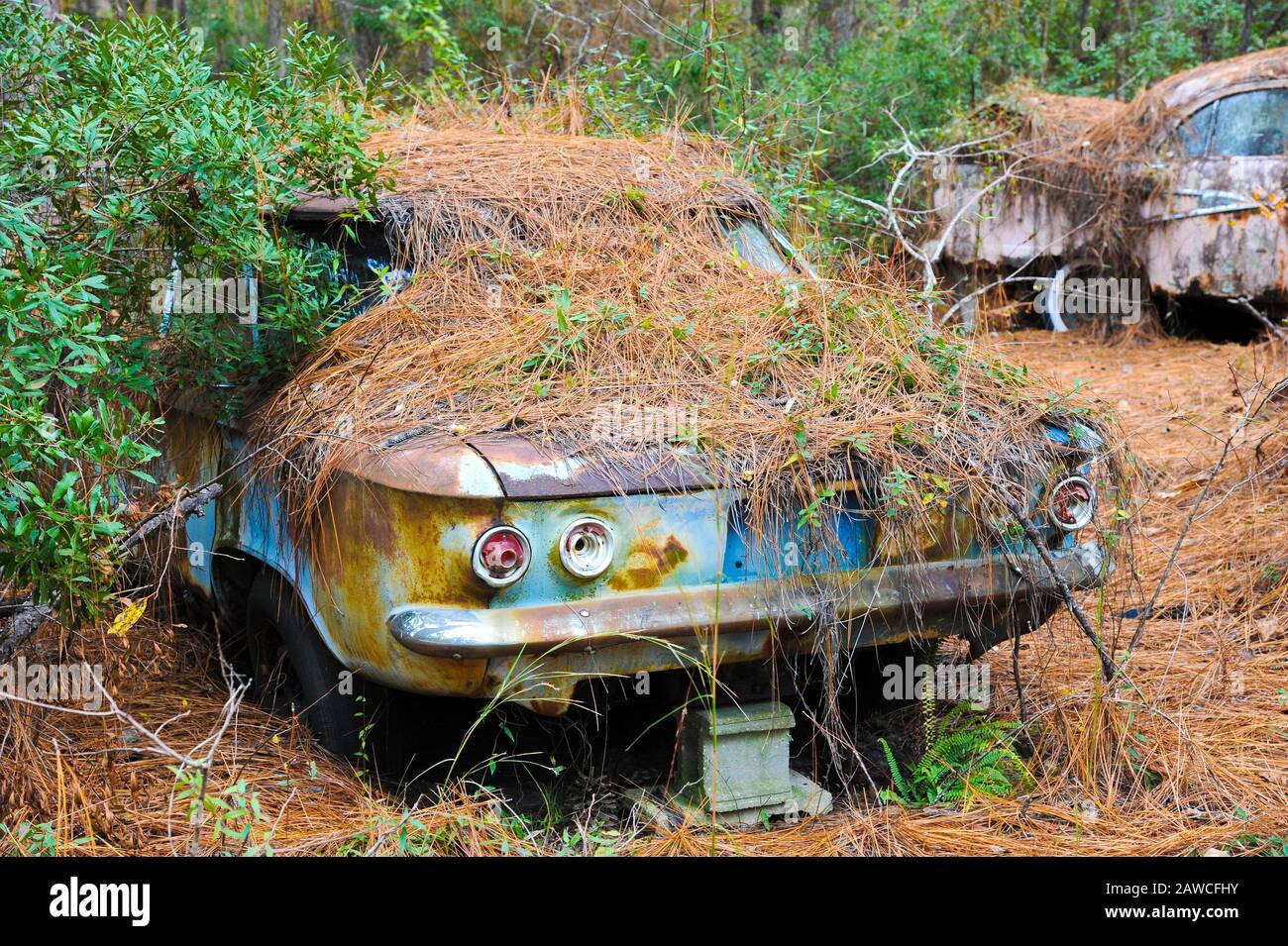 Rusty truck abandoned in the woods hi-res stock photography and images ...