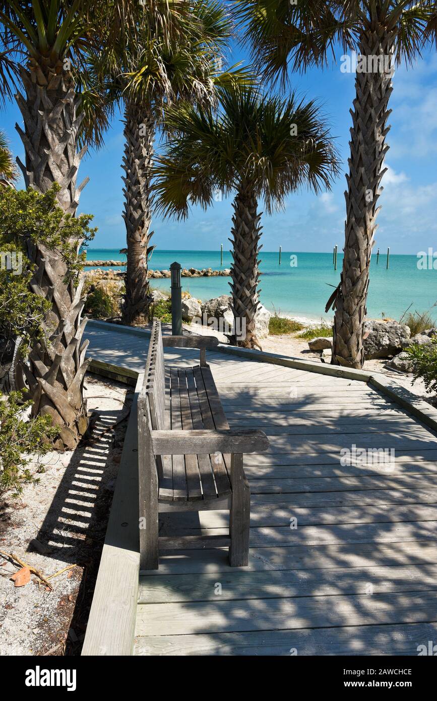 Bench on a Palm Tree lined Wooden Boardwalk leading to the Beach Stock ...