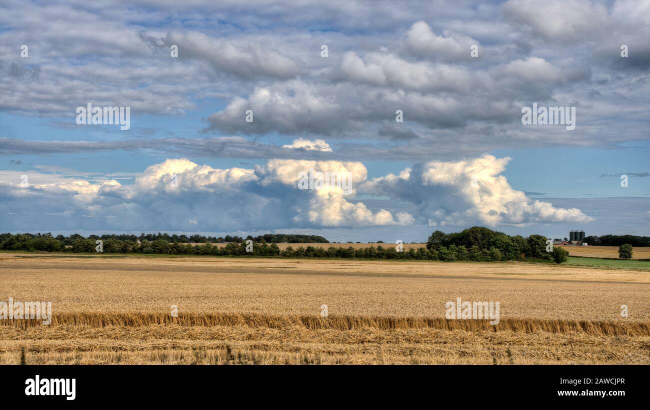 Clouds over cornfield hi-res stock photography and images - Alamy
