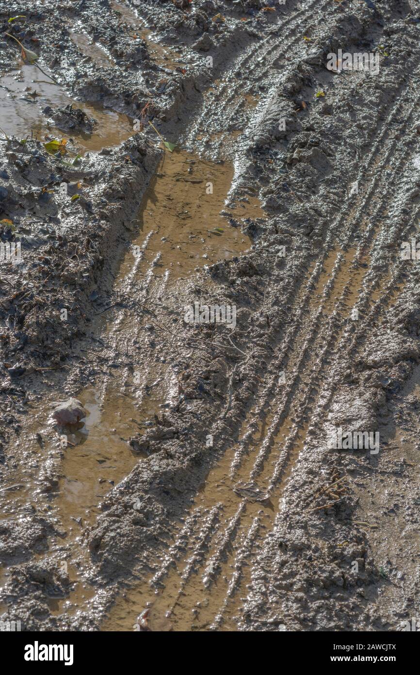 Muddy gloop hi-res stock photography and images - Alamy