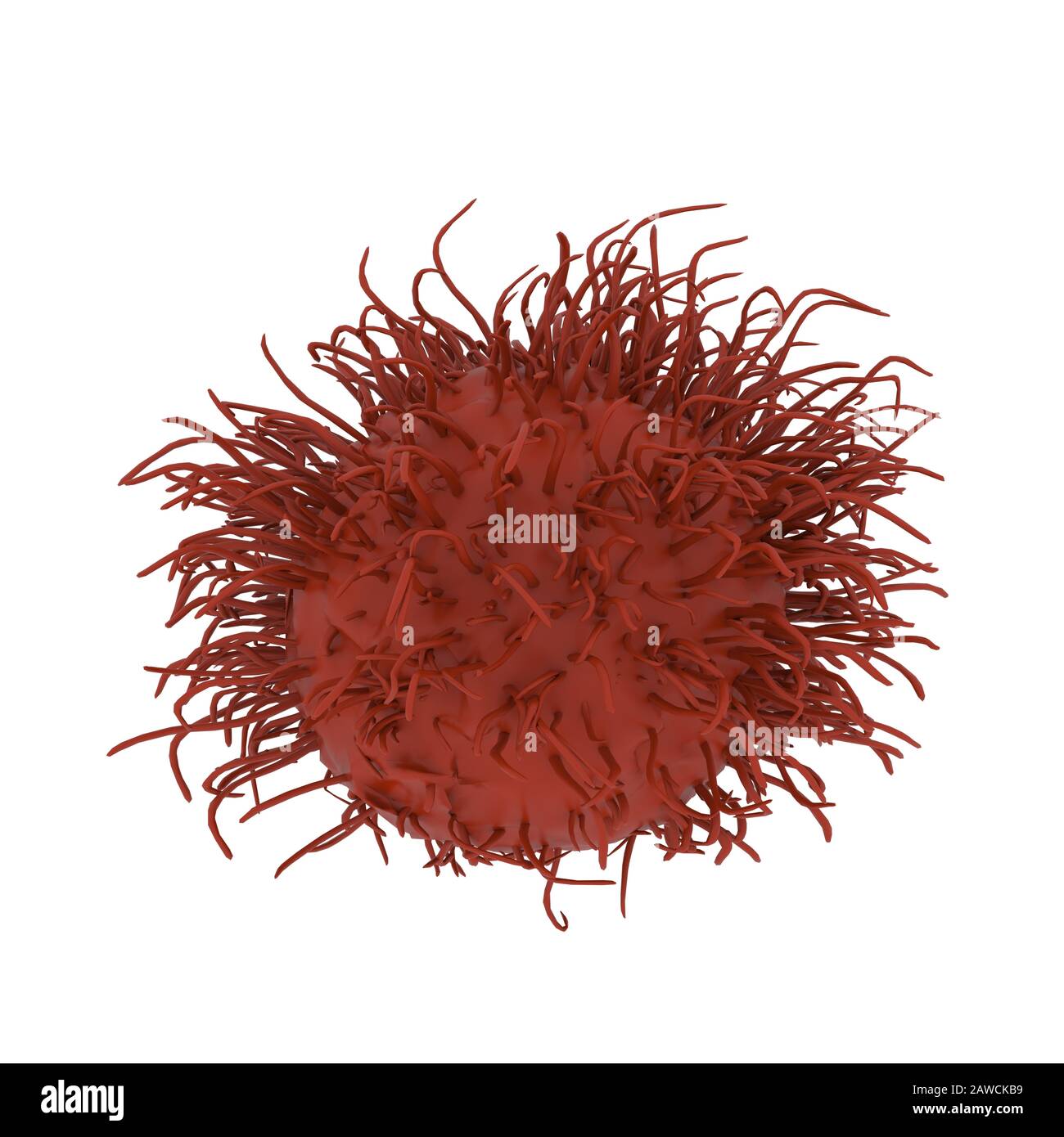 Microorganisms isolate hi-res stock photography and images - Alamy