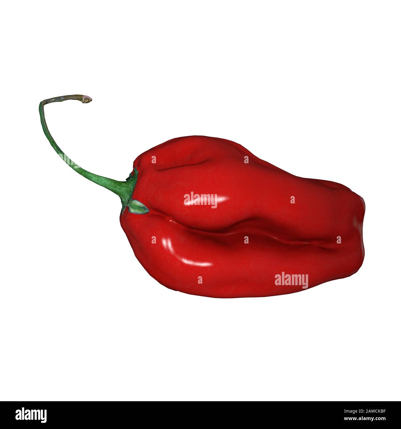 Enlarged object hi-res stock photography and images - Alamy