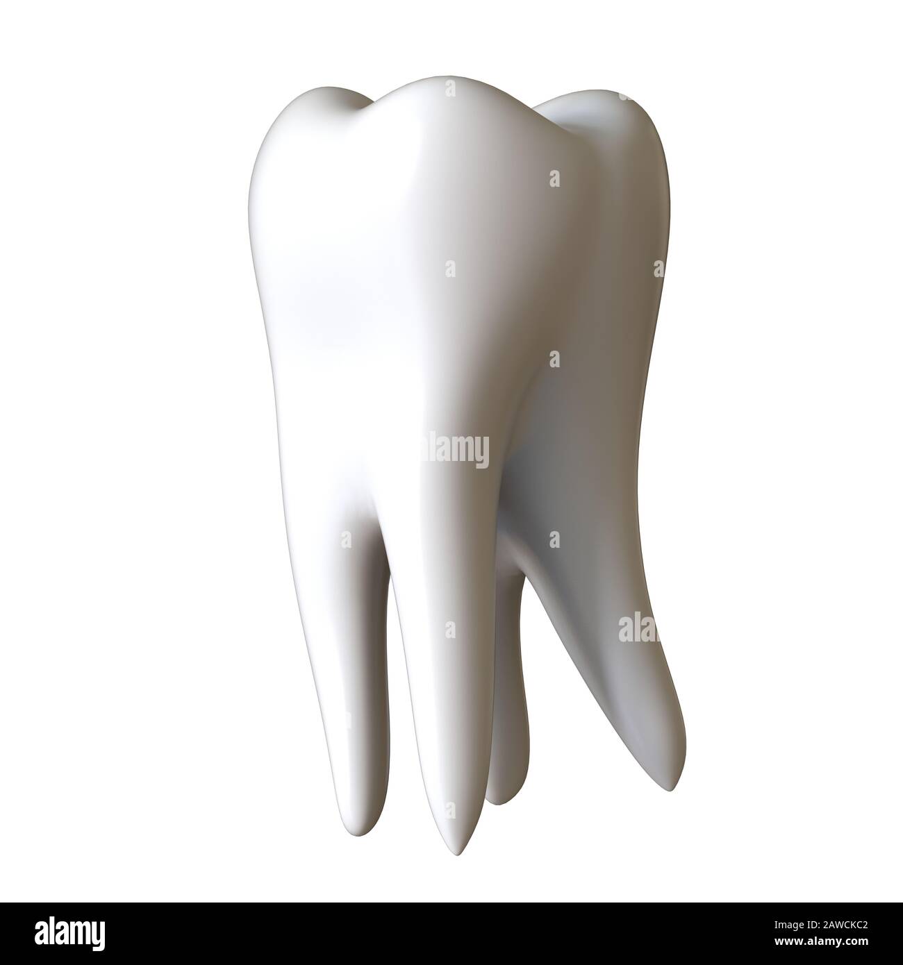 Enlarged teeth hi-res stock photography and images - Alamy