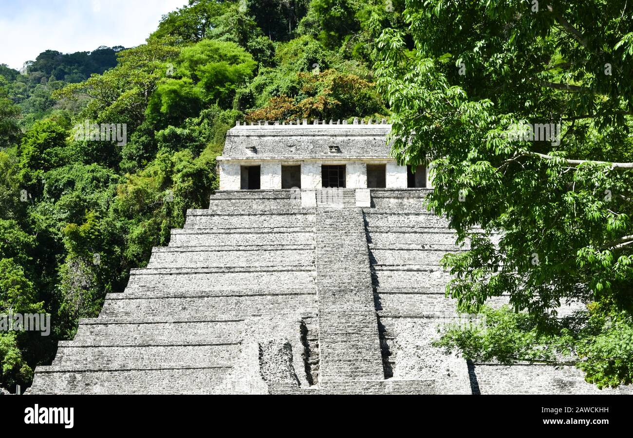 Mayan pyramid on the grounds in Palenque Stock Photo - Alamy
