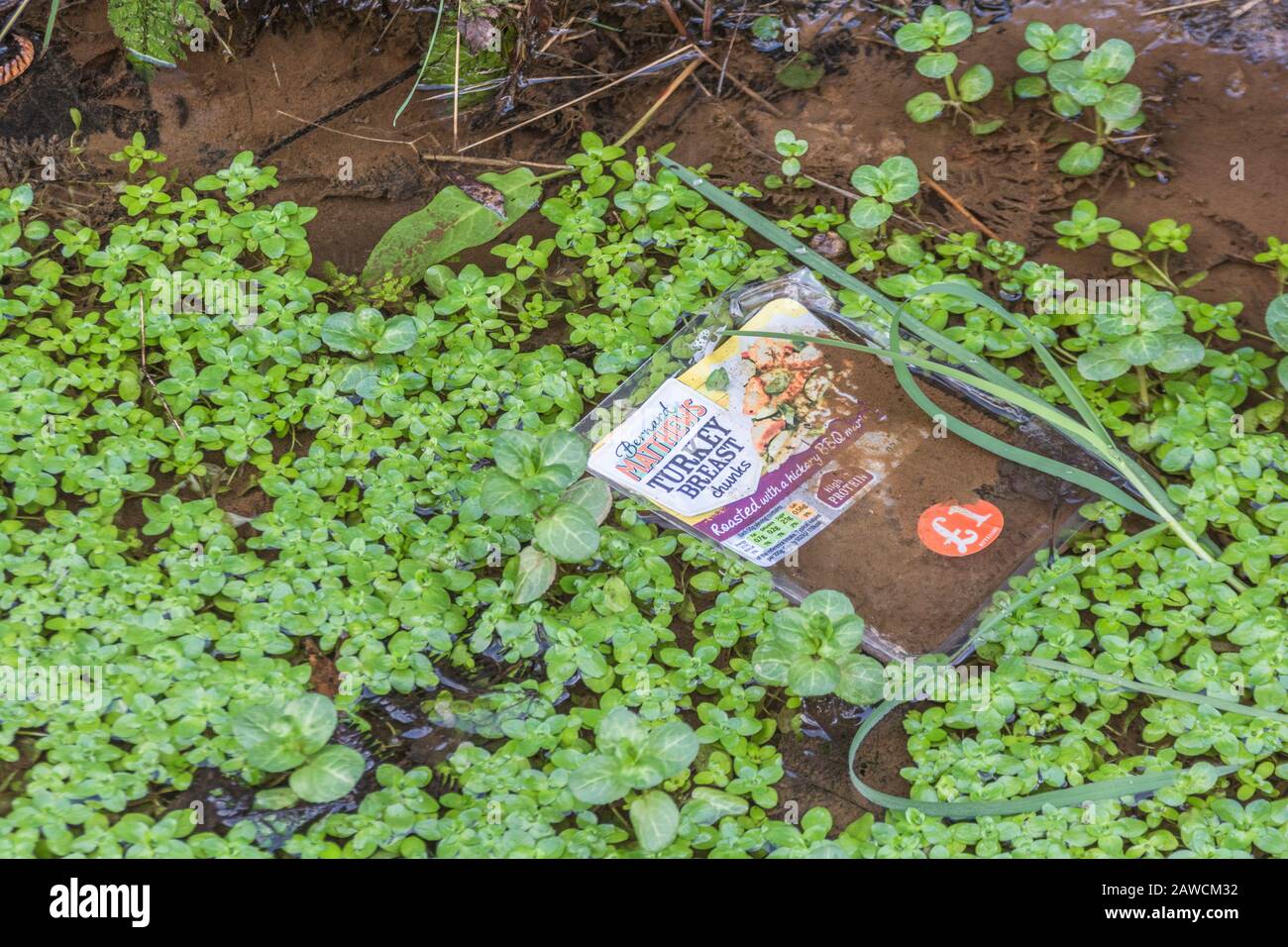 Floating plastic litter in countryside drainage ditch Concept UK ...