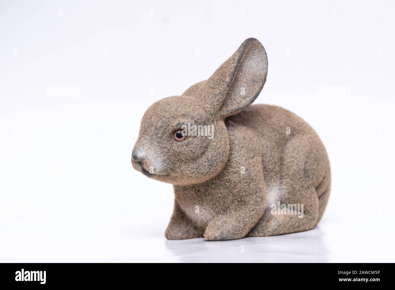 Grey rabbits hi-res stock photography and images - Alamy