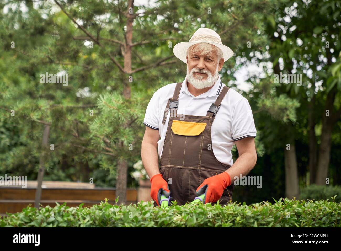 Camera near bushes hi-res stock photography and images - Alamy
