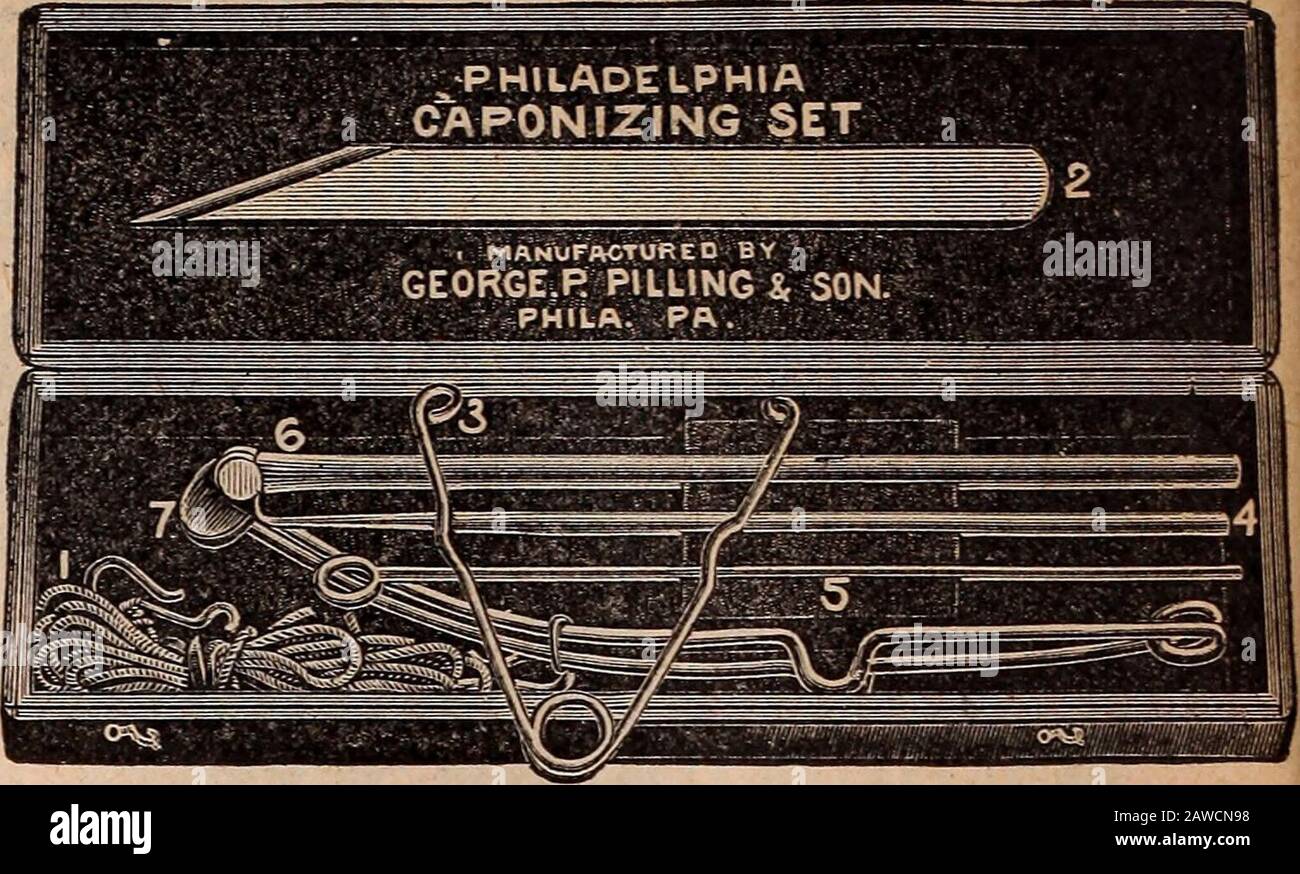 Kining hi-res stock photography and images - Alamy