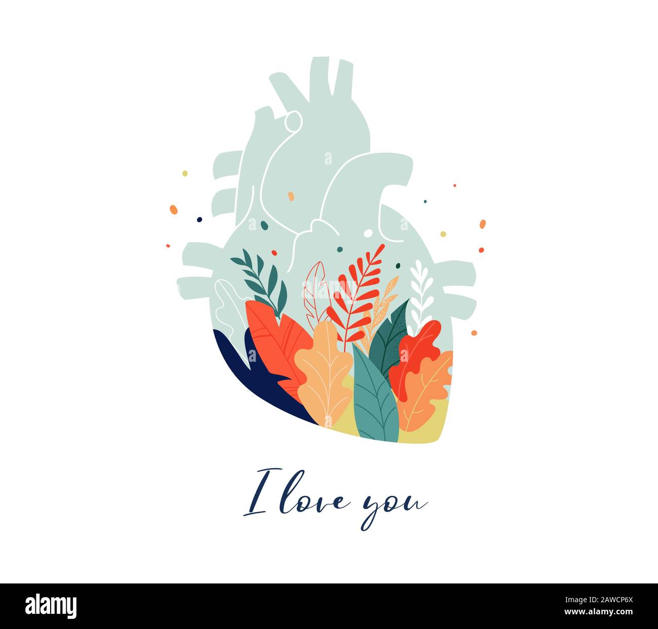 Anatomical heart modern print design, art work, vector design and ...