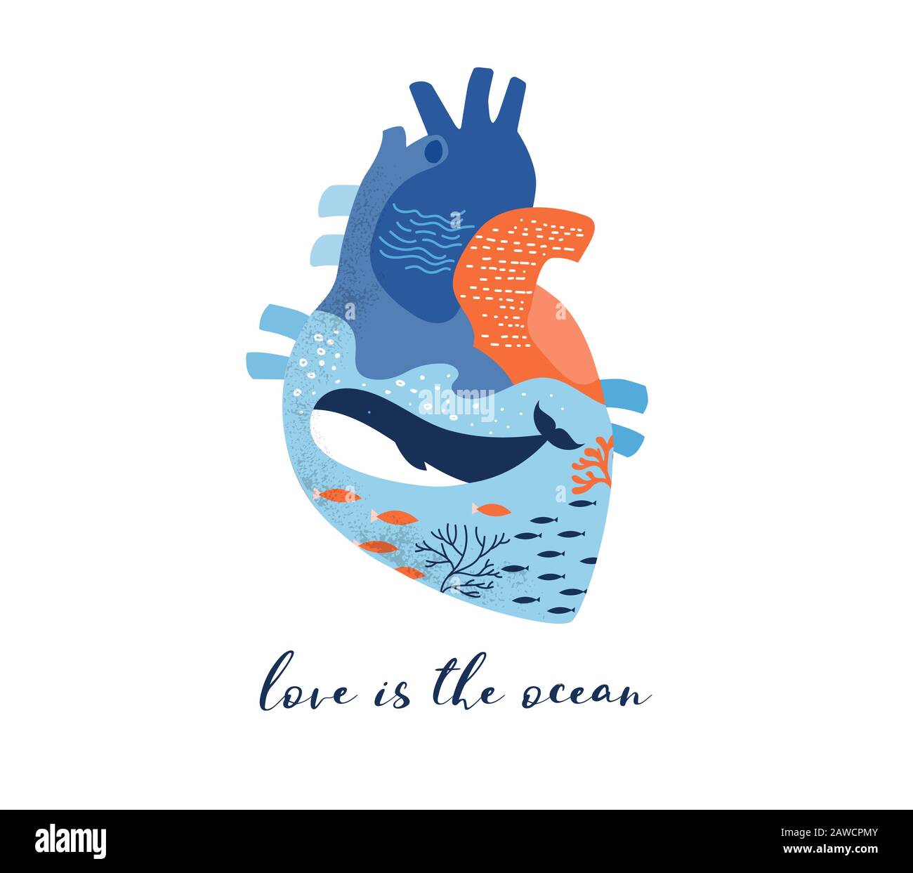 Anatomical heart modern print design, art work, vector design and ...