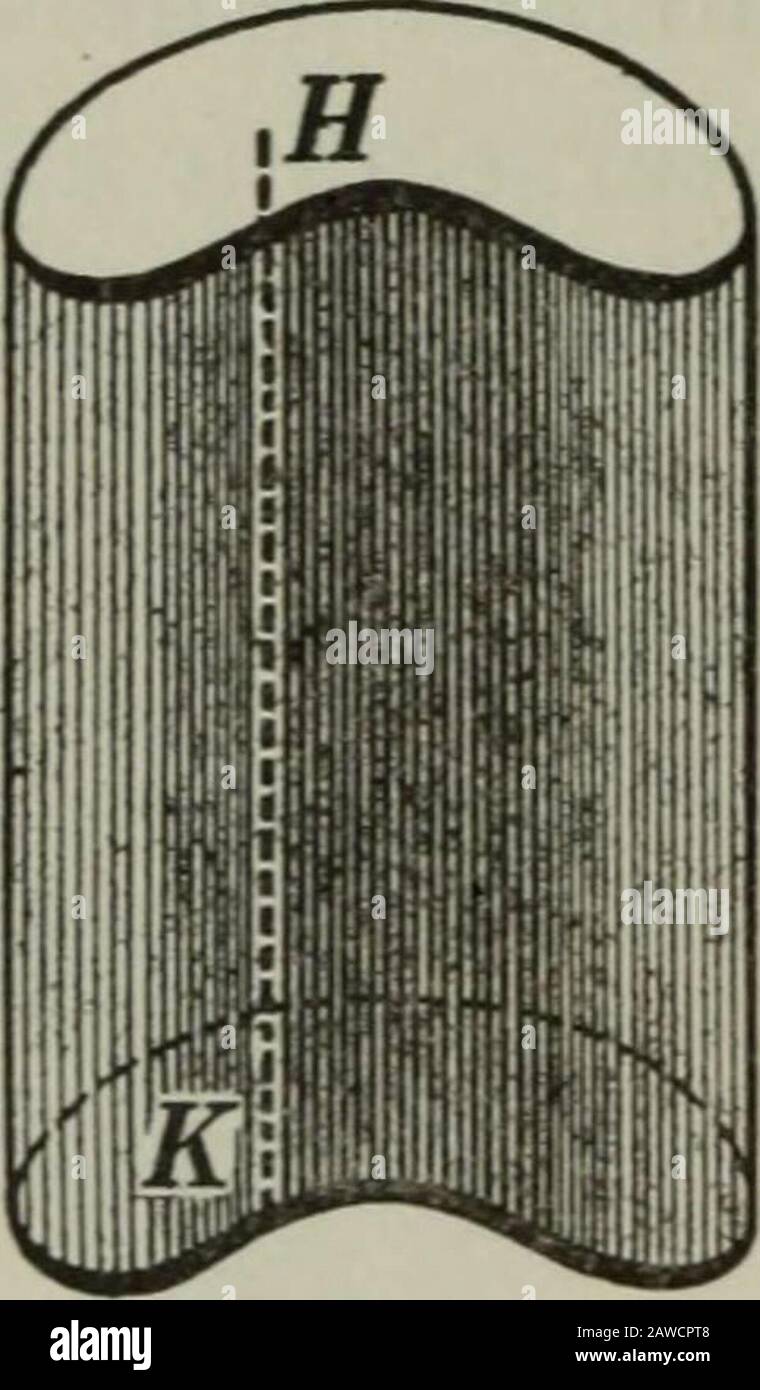 Plane and solid geometry . Fig. 1. Cylindrical Surface Fig. 2. Cylinder ...