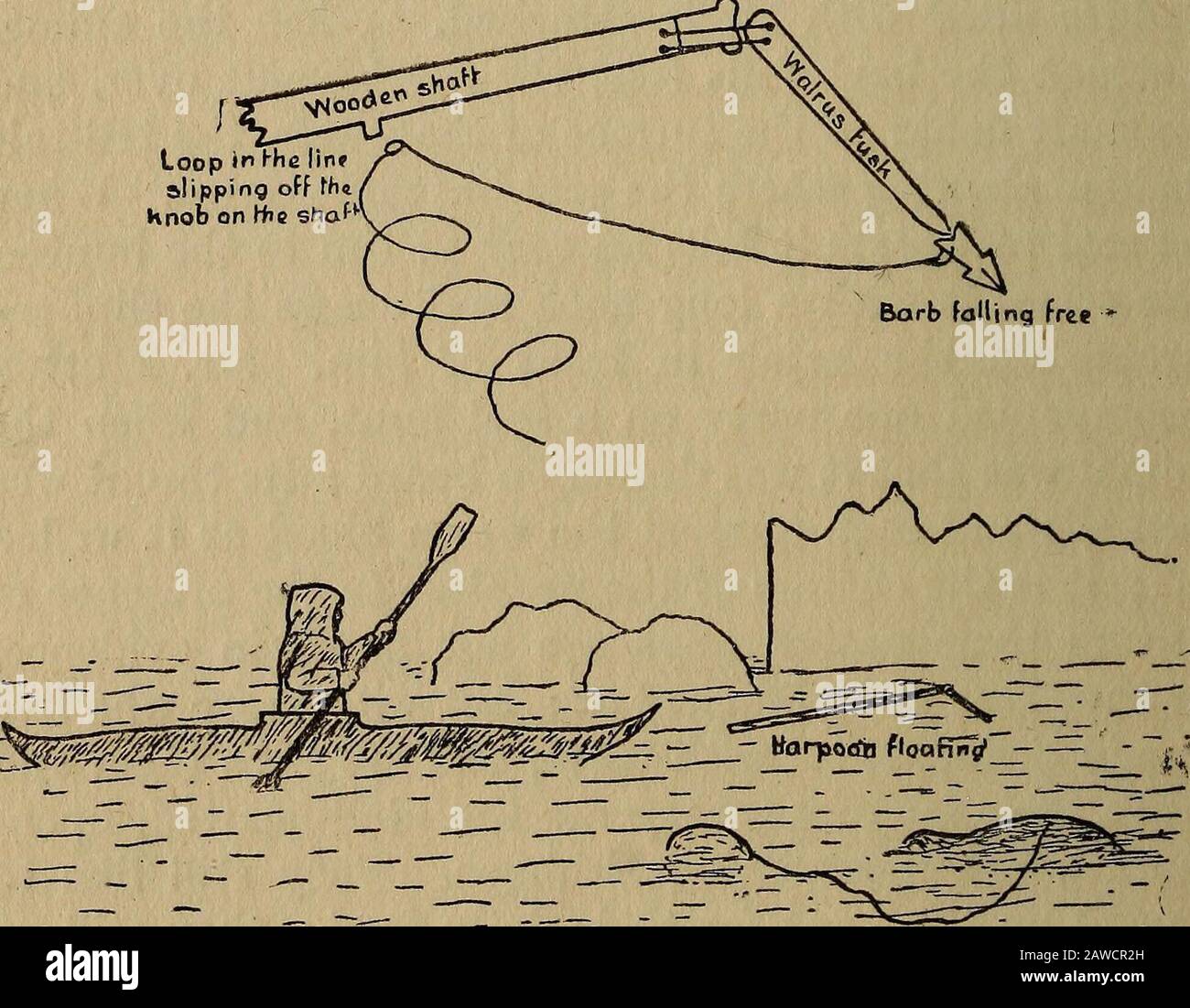 Pointed harpoon hi-res stock photography and images - Alamy