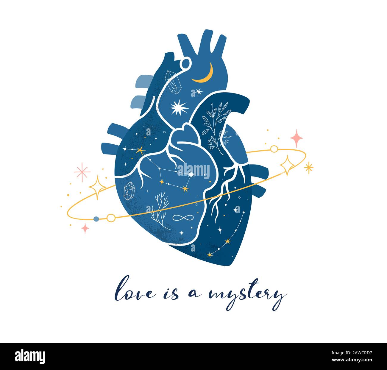 Anatomical heart modern print design, art work, vector design and ...