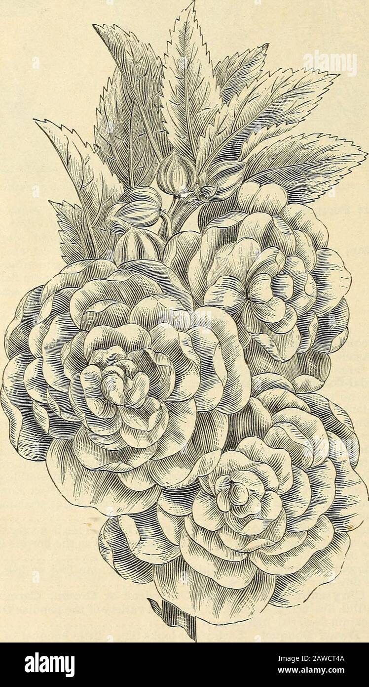 2530 feet hi-res stock photography and images - Alamy