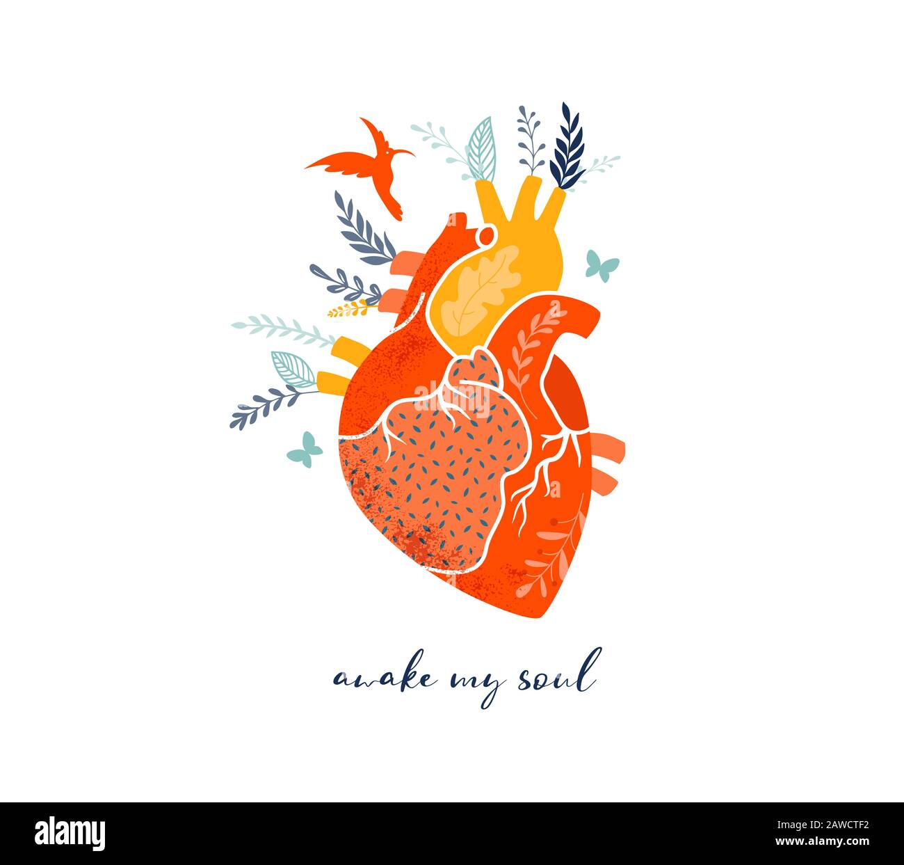 Anatomical heart modern print design, art work, vector design and ...