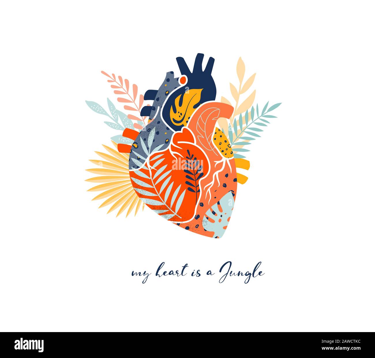 Anatomical heart modern print design, art work, vector design and ...