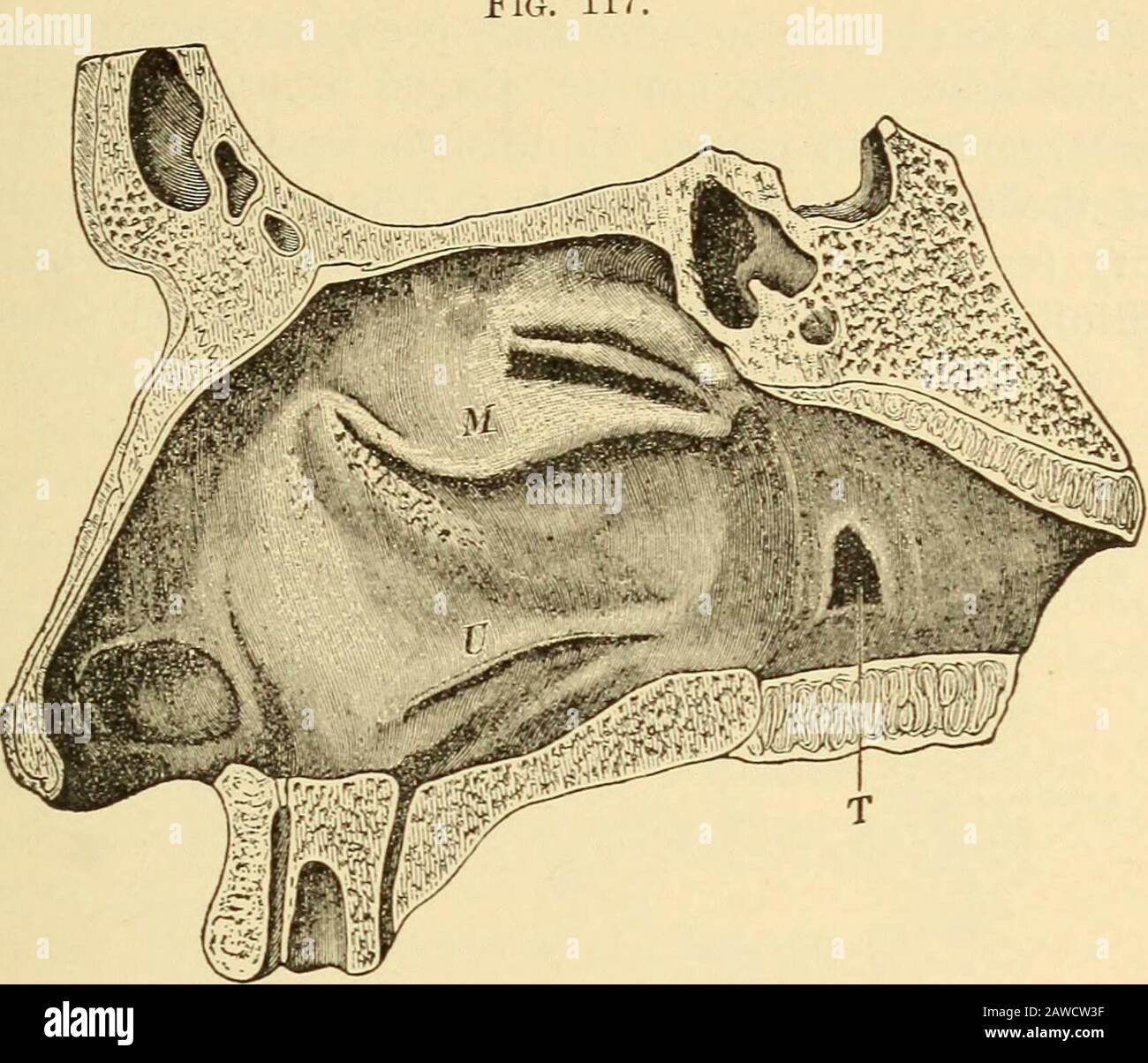 Characteristic sinks hi-res stock photography and images - Alamy