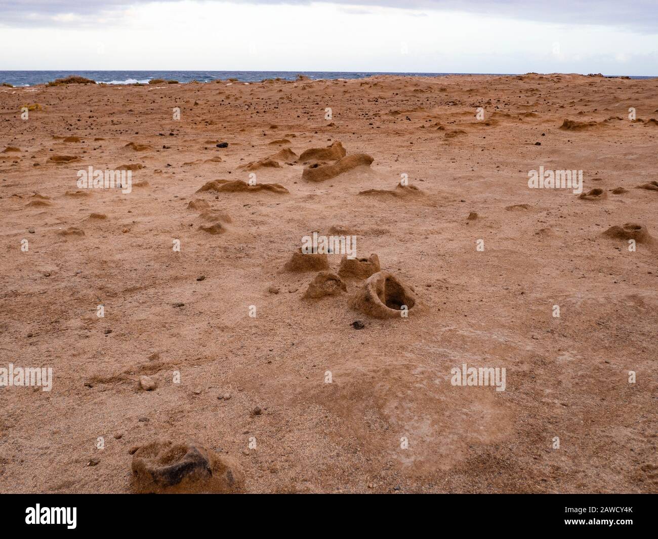 sand sediments in the coast and the sea Stock Photo - Alamy