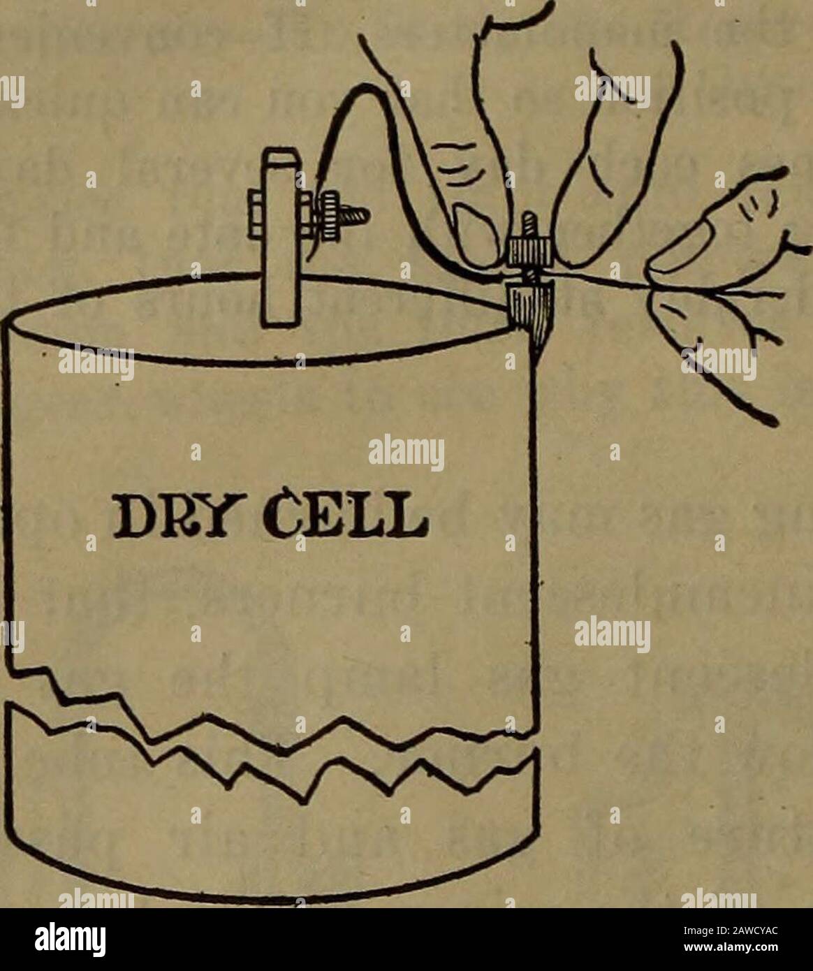 Burr cell hi-res stock photography and images - Alamy