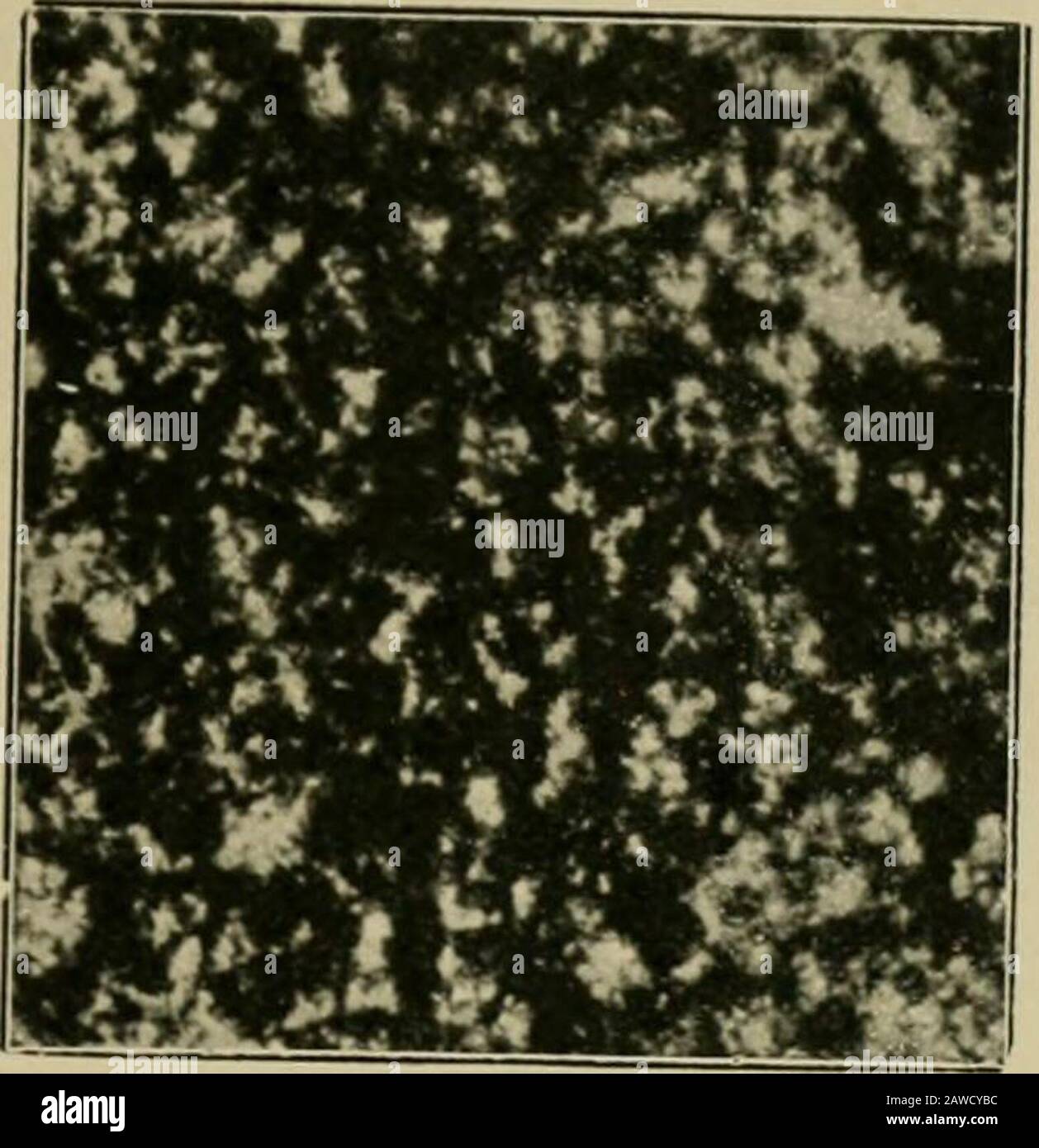Smokeless powders hi-res stock photography and images - Alamy