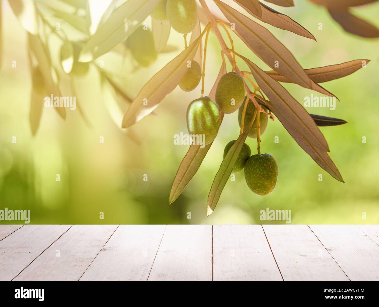 Olives and leaves table garden italy hi-res stock photography and ...