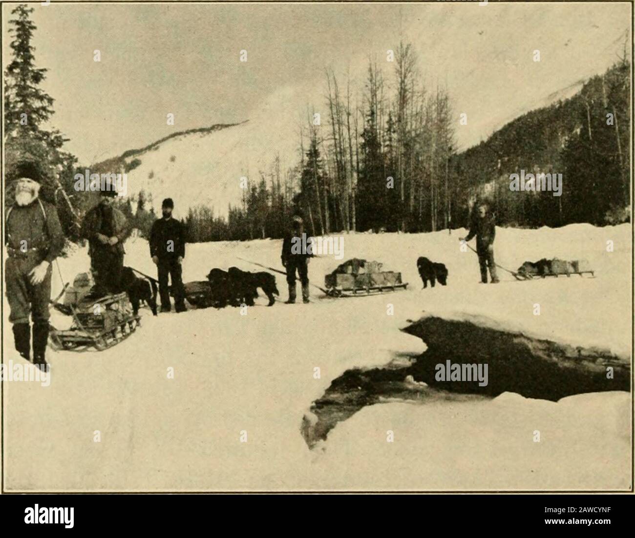 Carpetbaggers And Scalawags For Kids