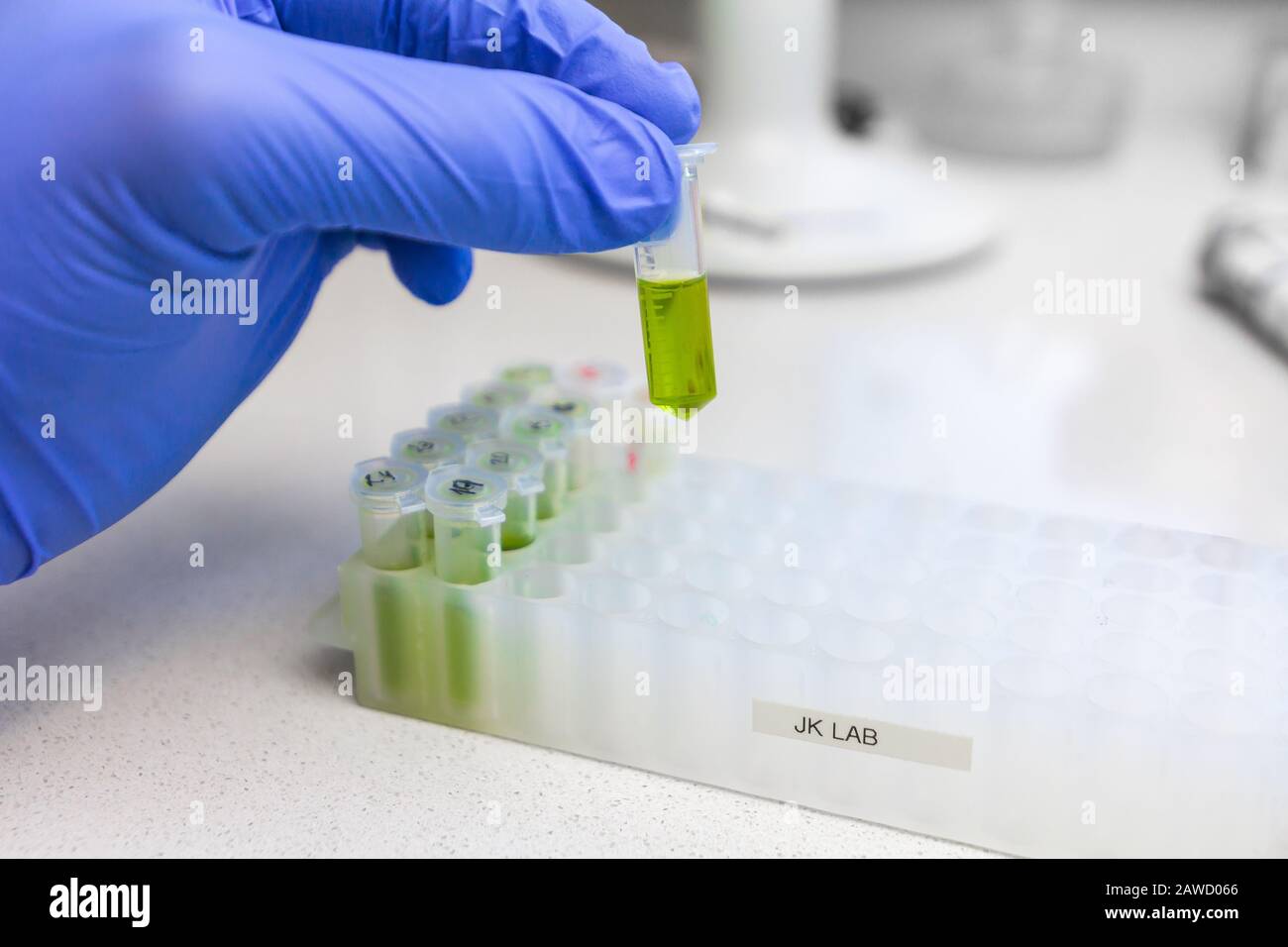 Close up to hands in blue gloves hold microtube with green liquid ...