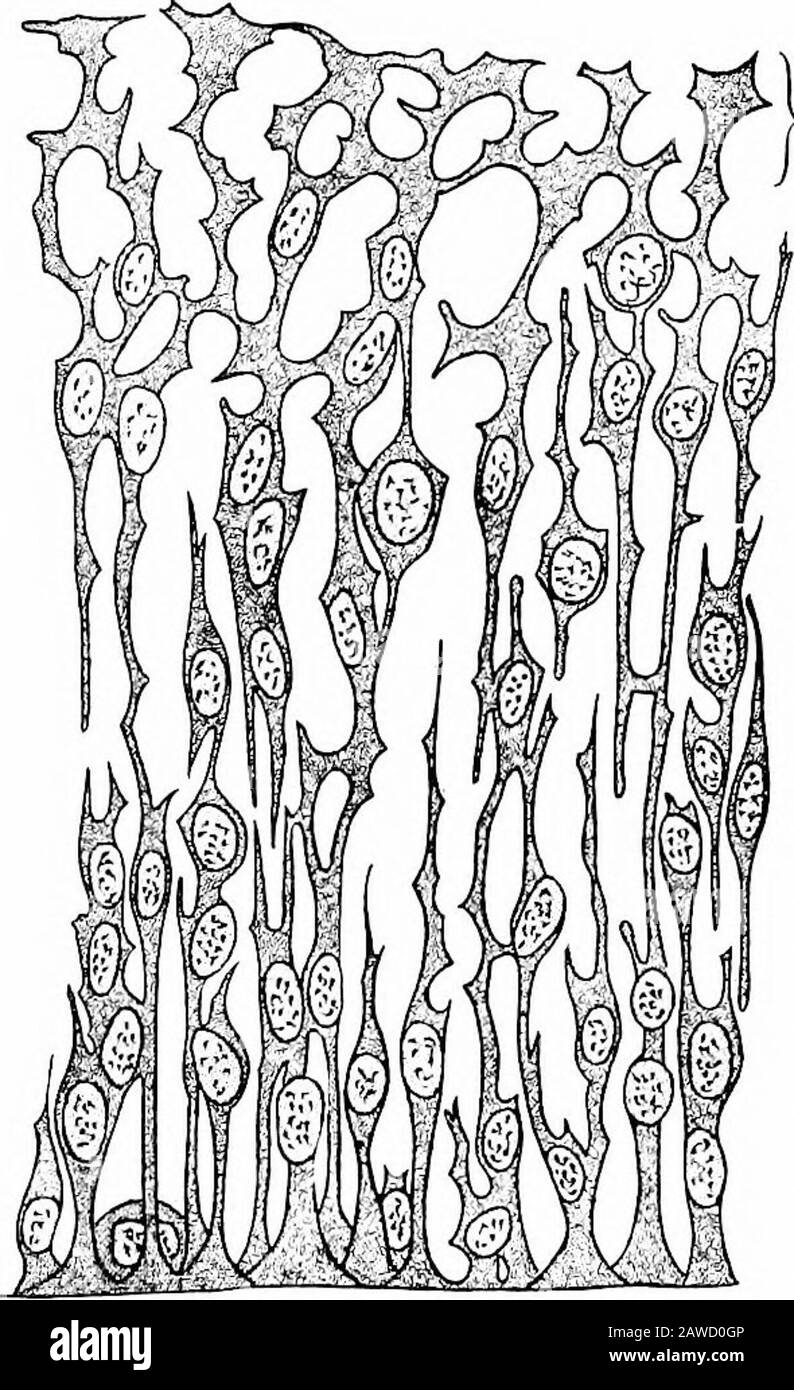 Indif Black and White Stock Photos & Images - Alamy