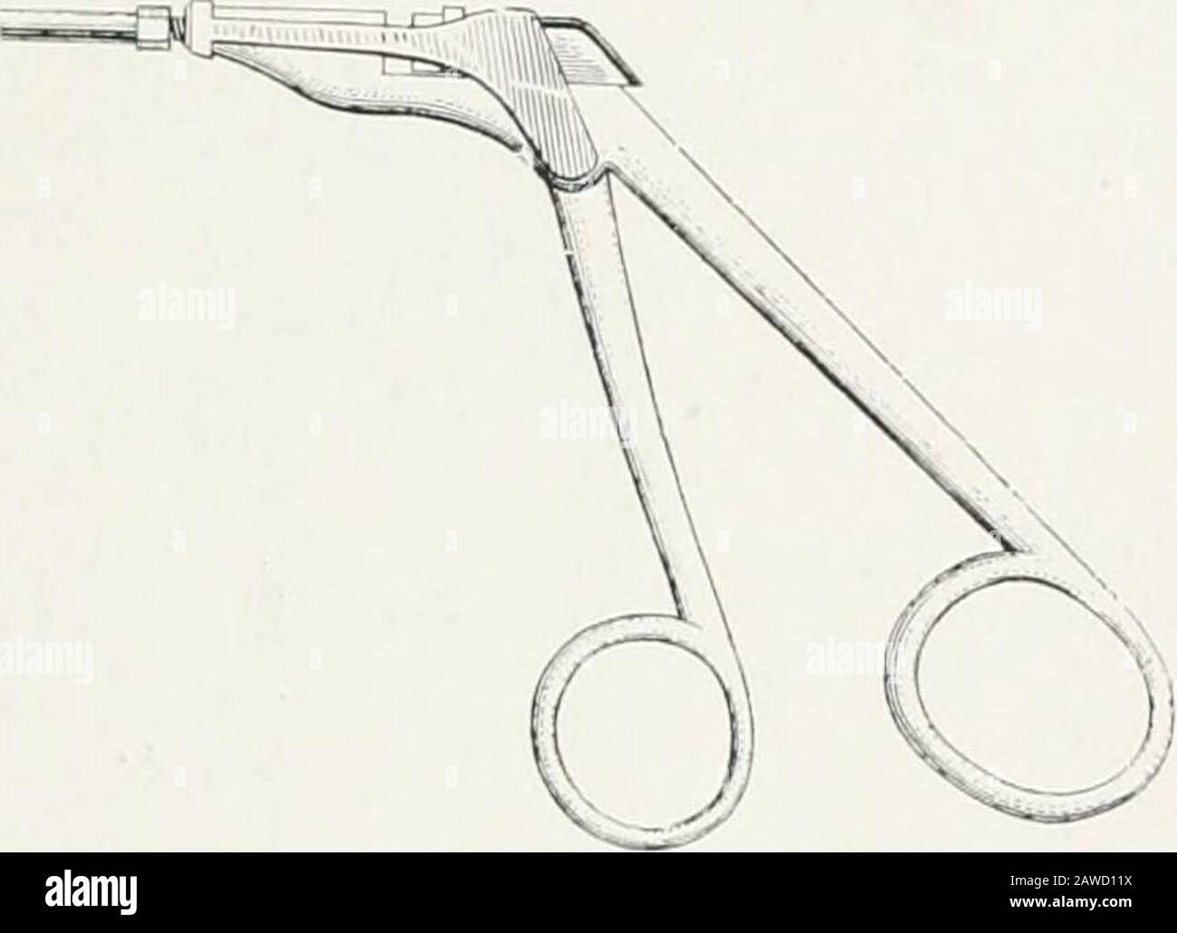 Push endoscopy hi-res stock photography and images - Alamy